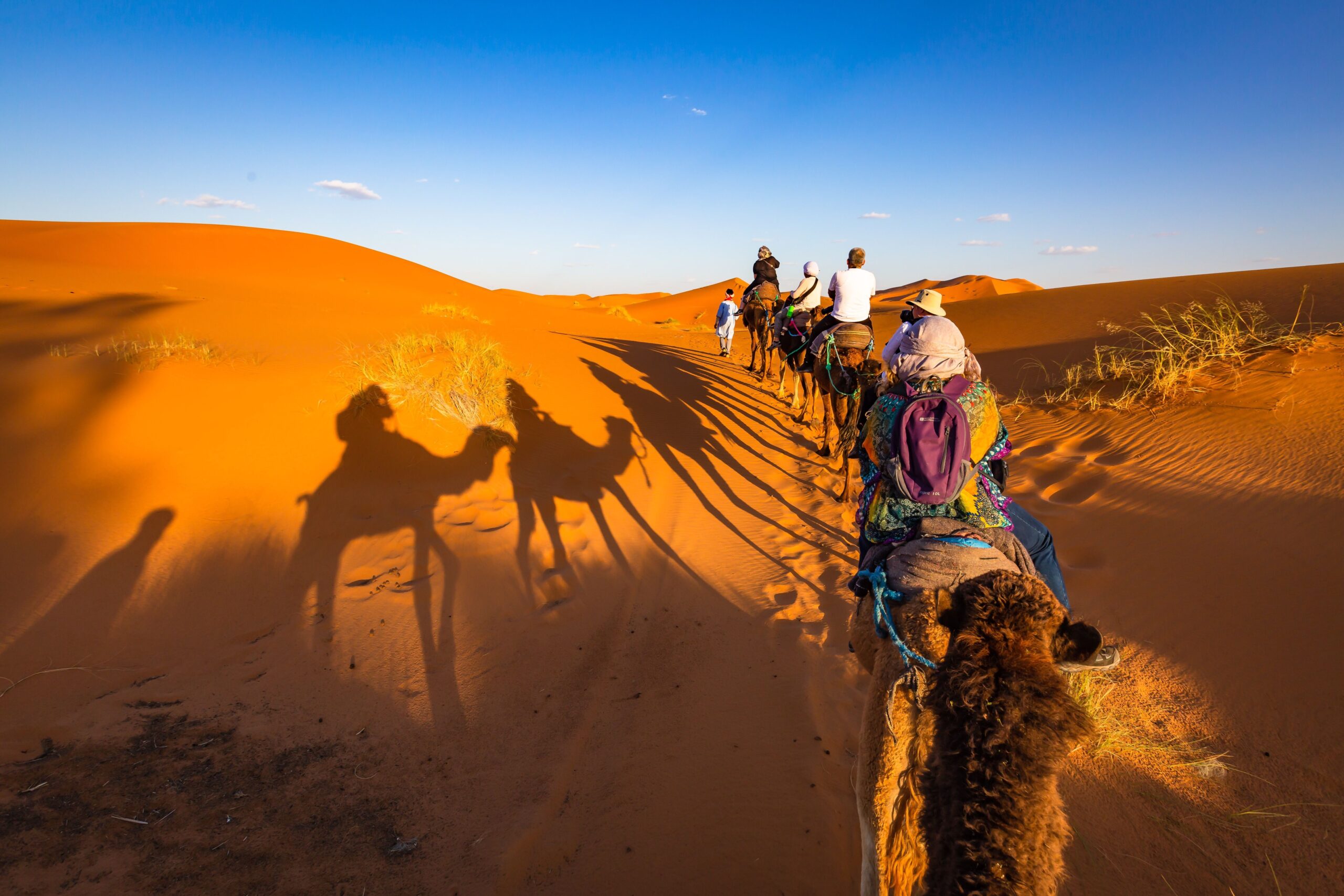 Sahara Trek 2027 - Lancashire Mind